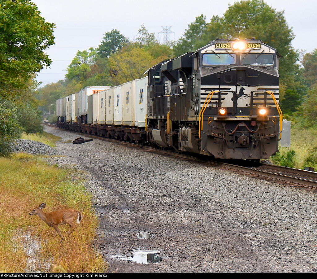 NS 8052 20W with Deer